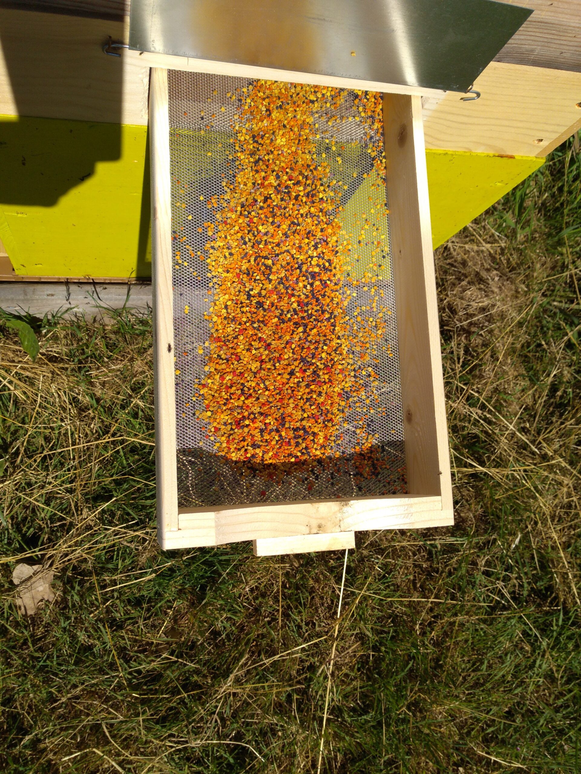 Analyse nutritionnelle des pelotes de pollen - Texereau Apiculture